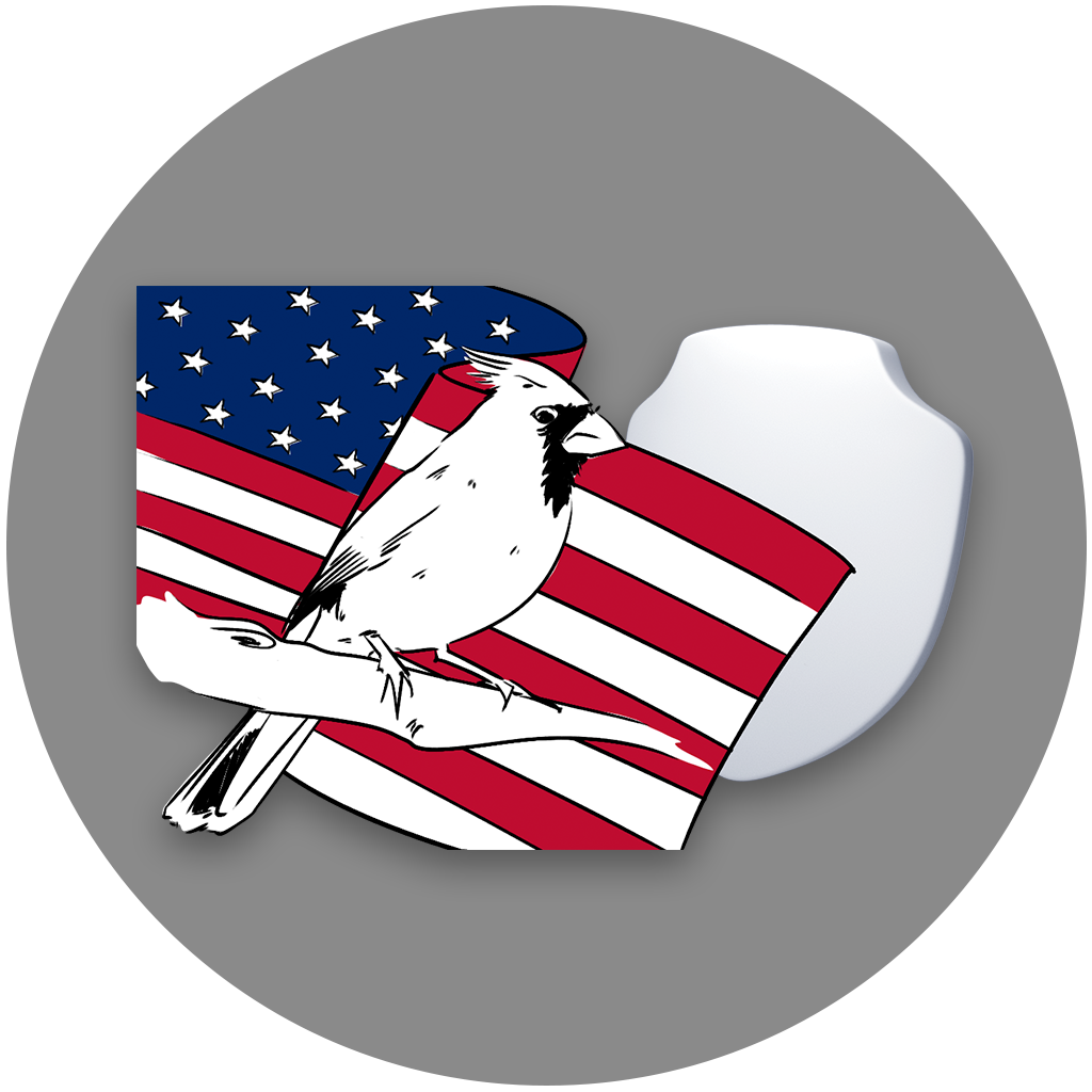 Compyls Additional Security Frameworks